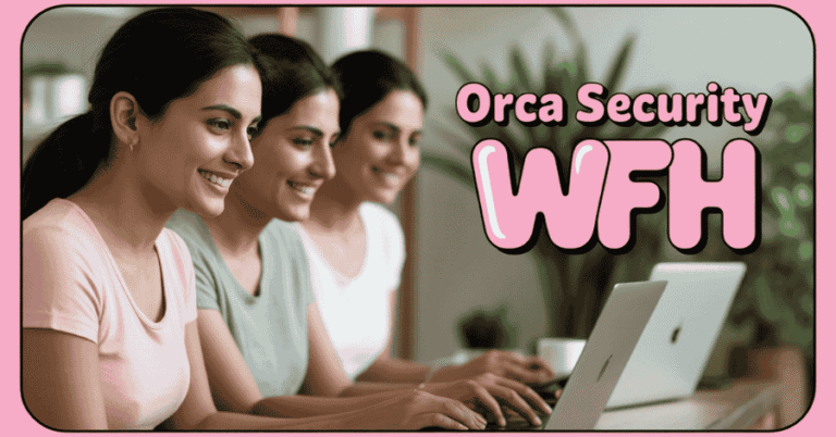 Orca Security Work From Home Jobs – Apply Now for Remote Customer ...